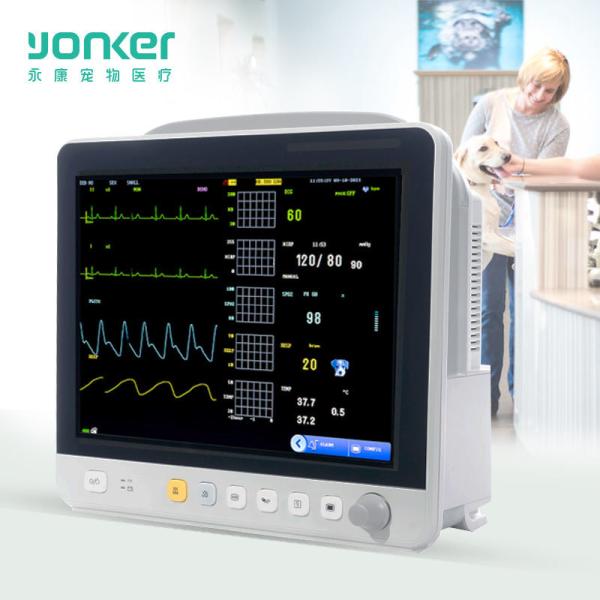 Quality VE12 12.1 Inch Portable Veterinary Monitor Ecg Monitor Yonker 2 Hour 3 Level Audio/visual Alarm Veterinary Monitoring Instrument for sale