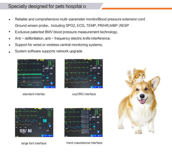 Quality VE12 12.1 Inch Portable Veterinary Monitor Ecg Monitor Yonker 2 Hour 3 Level for sale