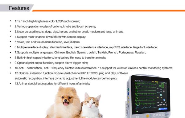 Quality VE12 12.1 Inch Portable Veterinary Monitor Ecg Monitor Yonker 2 Hour 3 Level for sale