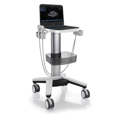 China High Quality Cheap Mobile Portable Ultrasound Hospital Medical Trolley for Clinic for sale