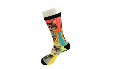 China Eco asqueroso anti - 3D calcetines para hombre amistosos, calcetines bacterianos antis coloridos del animal 3D en venta