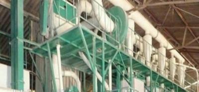 Cina Produttività della macchina del mulino da grano di 200 t/h alta per l'impianto di lavorazione del grano in vendita