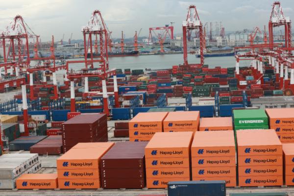 Quality Professional Sea Freight and Ocean Shipping Services with Customs Clearance, Door-to-Door Delivery, and One-Stop Transportation for sale