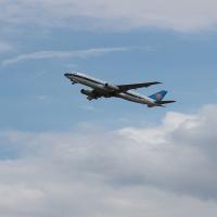 Quality Air Export Services to New Zealand for sale