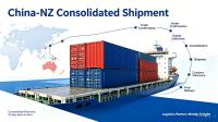Quality China to NZ Consolidation Line for sale