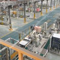 China palletizing line for sale