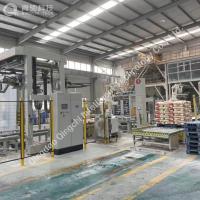 China palletizing line for sale
