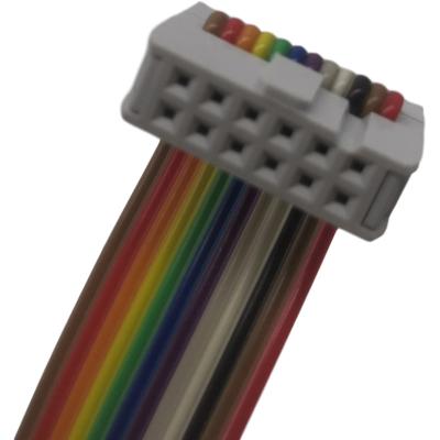 Cina Dupont Custom 1.27mm Maschio a Femmina 12 pin Flessibile Piatto Cable Arcobaleno per il mercato EURO in vendita