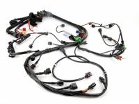 China Electric Wire Harness Cable for Motorcycle Length Customer Request Advanced Technology for sale