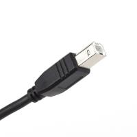 China 3A Fast Charging Printers Data Cable PVC Jacket Type B USB 2.0 Type A Male Printer for sale