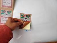 China Product Identification With Professional Packaging Label Stickers for sale