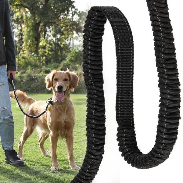 Quality Wholesale 25mm Dog Leashes Webbing Custom Durable Soft High Tenacity Pet Strap for sale