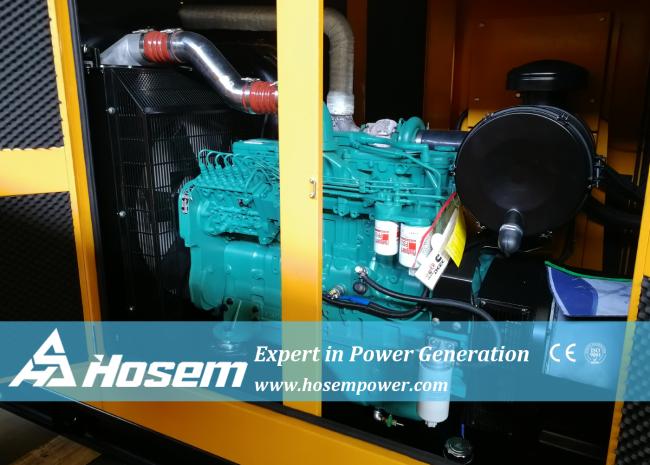 250kVA NT855-GA 쿠민스 Dg 세트 CE 백업
