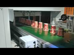 Turnkey Solutions IML Entry Robot met volledig geautomatiseerd visie-inspectiesysteem