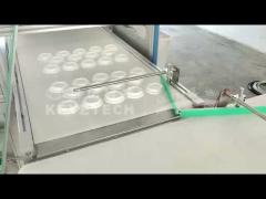 Máquina de inspeção de visão de tampas de papel de moldagem de celulose com algoritmo de aprendizagem profunda de IA