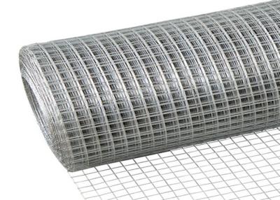 China Hardware galvanisierte geschweißtes Messgerät Draht-Mesh Lightweights 16 für Hunde zu verkaufen