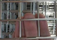 China Stainless Steel Welded Wire Mesh Panel 2x1m 50x50mm for Construction for sale