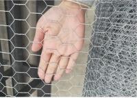 China 3/4 Inch 19mm Galvanized Hexagonal Wire Mesh - 0.46-0.89mm Wire Diameter with 2m Width Options for sale
