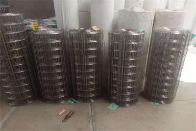 China 3/4 ' X3/4“ 304 0.8mm Roestvrij staal Gelast Draadnetwerk Te koop