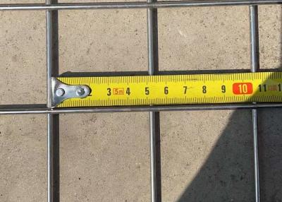 Cina Rete crescente di protezione di Duck Galvanised Welded Mesh Balcony del pollo in vendita