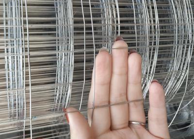 Cina Filo di acciaio netto di pollice 6x8 dell'anti uccello 6mm Mesh Panels in vendita