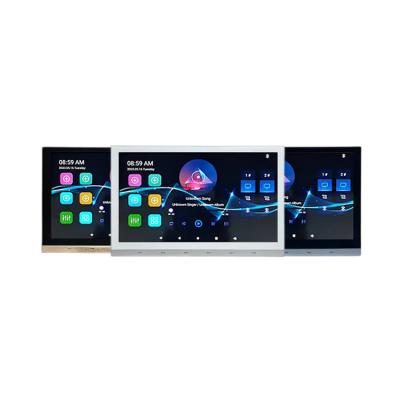 China Smart Wall-Mounted Stereo Amplifier 10 Inch 30W 2 Zones Control Eshare App Control Panel 10inch HD touch screen factory