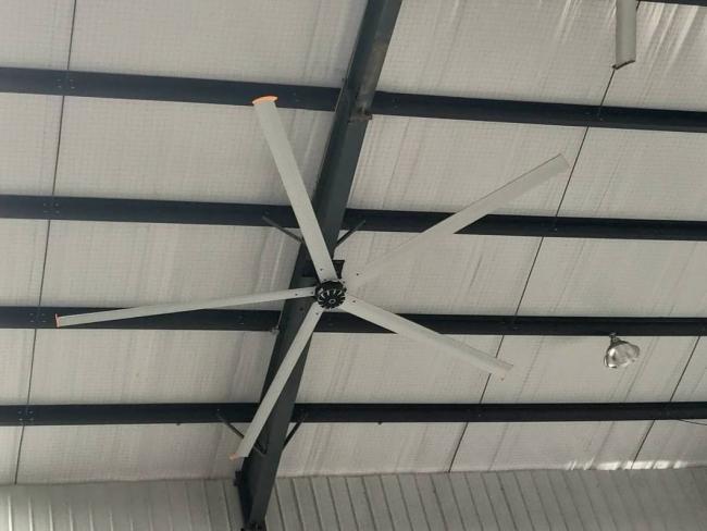 Industrial Big Ceiling Fan for Warehouse