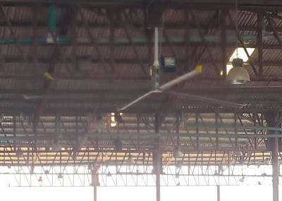 China Horizontal Air Cooler HVLS Ceiling Fan 24 Foot Industrial Ceiling Fan ODM for sale