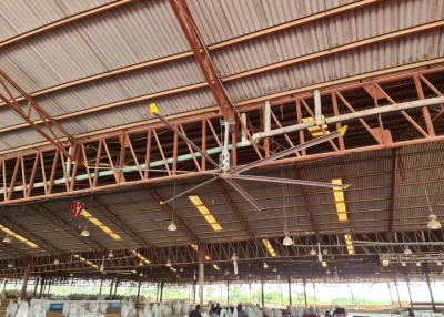 China Horizontal Air Cooler HVLS Ceiling Fan 24 Foot Industrial Ceiling Fan ODM for sale
