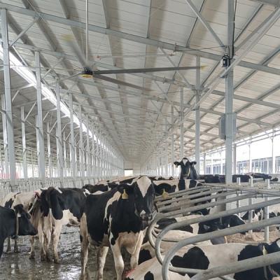 Cina 6Pcs Al-Mg Leghe di leghe 6.1M/20FT Volume elevato Ventilatore di soffitto industriale a bassa velocità per l'industria mineraria in vendita