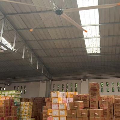 Cina 5-Blade Super Volume Air Cooling Grandi spazi di ventilazione BLCD Motor soffitto ventilatore per la casa in vendita