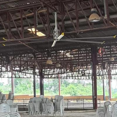 Cina Ventilatore di soffitto HVLS con motore a cambio 24FT per raffreddamento in ristoranti e spazi industriali in vendita