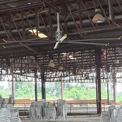 Cina 7.3m 24ft grande ventilazione industriale e raffreddamento ventilatore HVLS dalla fabbrica cinese in vendita