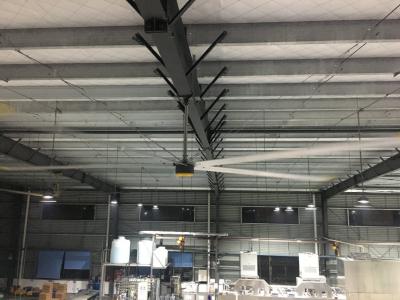 Cina Ventilatore di soffitto per la personalizzazione e le opzioni di montaggio di grandi ventilazioni industriali in vendita