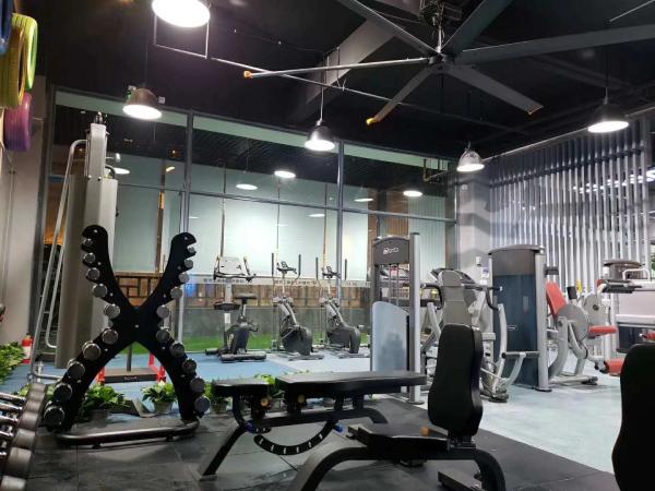 24 piedi ventilazione ventilatore di soffitto grande garage