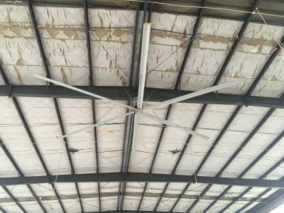 Cina Ventilatore di soffitto a sei lame di alluminio in vendita