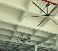 China Air Cooling Large HVLS Fans for sale
