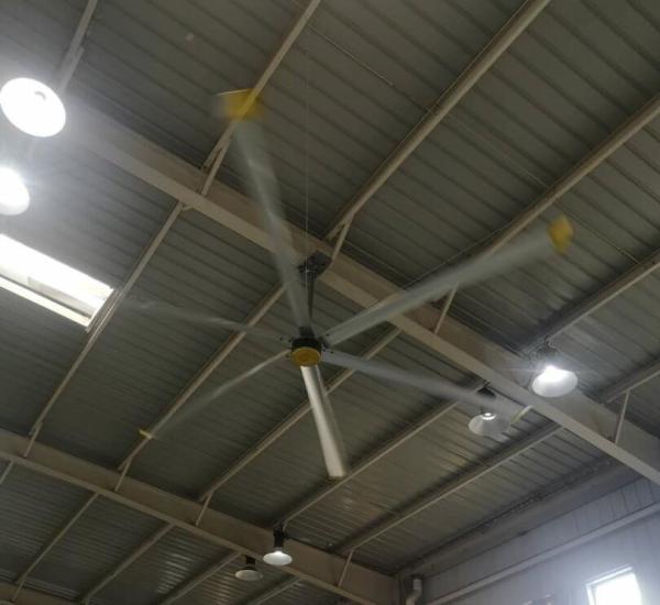 Ventilatori per soffitti a 5 lame di 22 ft per soffitti bassi e alti