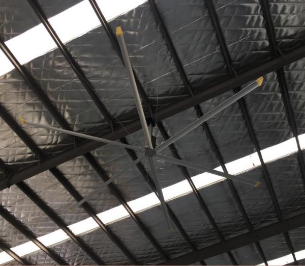 Ventilatori per soffitti a 5 lame di 22 ft per soffitti bassi e alti