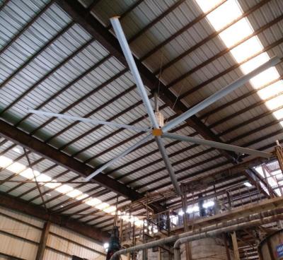 Cina 6.1M 20 piedi grandi ventilatori di soffitto commerciali per palestre in vendita
