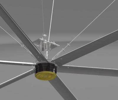 Cina Centro sportivo 14 piedi 5 lame HVls Industrial Fans For Home in vendita