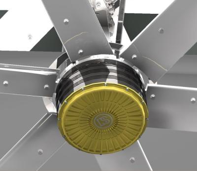 Cina Centro sportivo 14 piedi 5 lame HVls Industrial Fans For Home in vendita