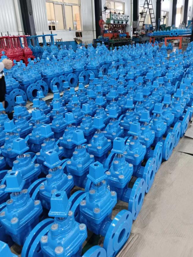 QT450 Industrial Gate Valve product image