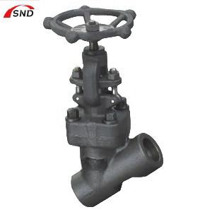 China Forged Steel Y Type Check Valve Internal Thread Flanged Connection for sale