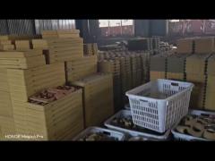 Shell mold process