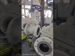 ANSI gate valve show