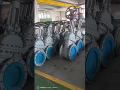 WCB WCC CF8 CF3 2205 Gate valve