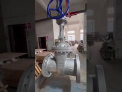 See Why Choose API ANSI Gate Valve Iron /  WCB / Stainless Steel Material For Water And Chemical