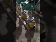 Electric actuated gate valve
