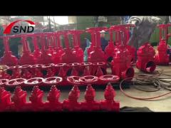 Gate Valves